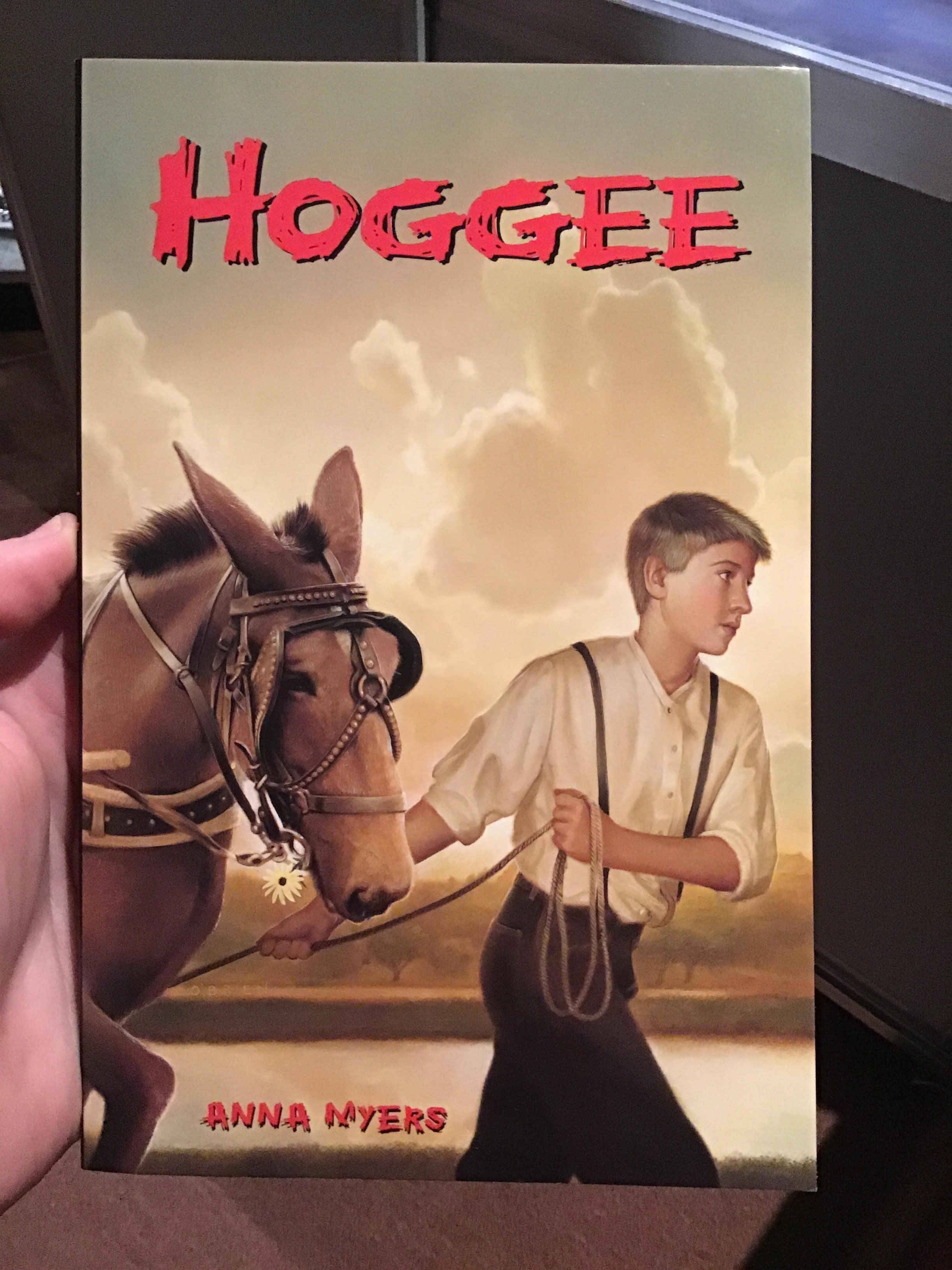 Hoggee | The Onondaga Historical Association Gift Gallery