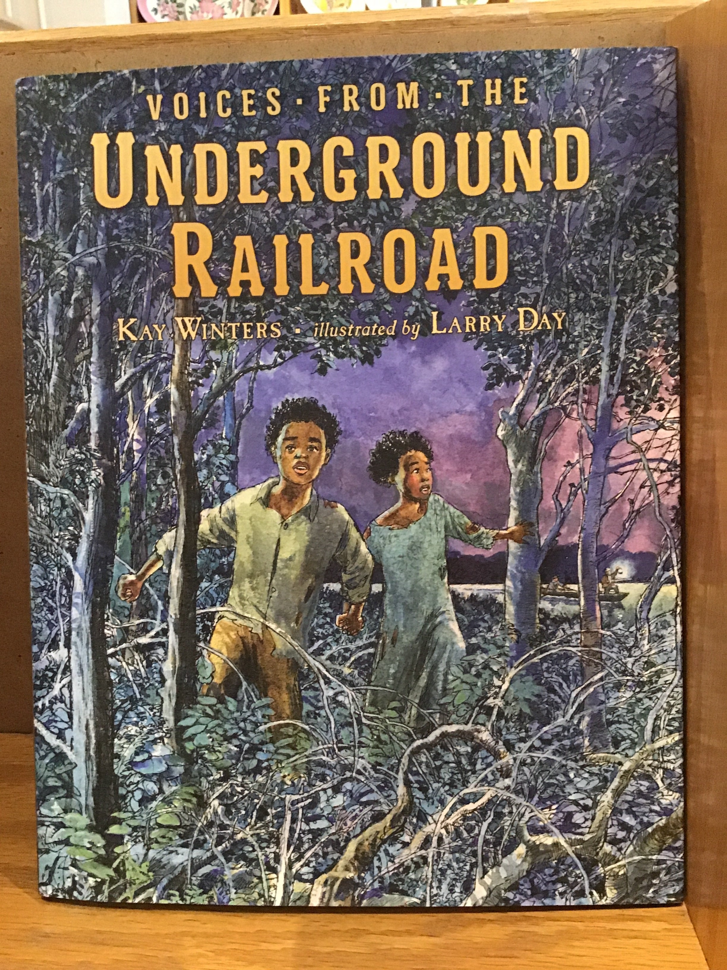 Voices from the Underground Railroad | The Onondaga Historical ...